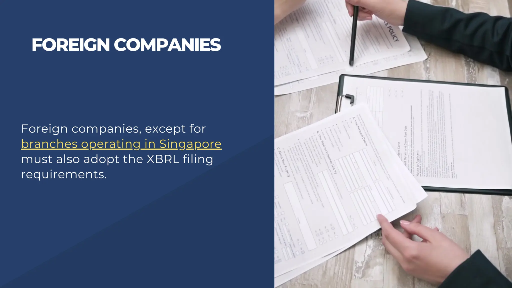 The Singapore XBRL Filing System | PDF