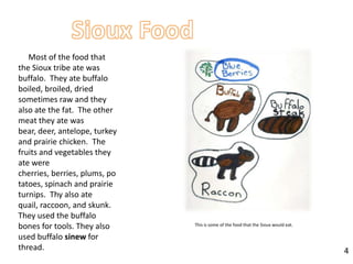 The Sioux | PPTX
