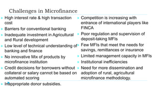 Constraints to the Development of Microfinance Sector in Pakistan | PPT