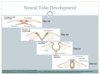 Thesis Defense | PPT