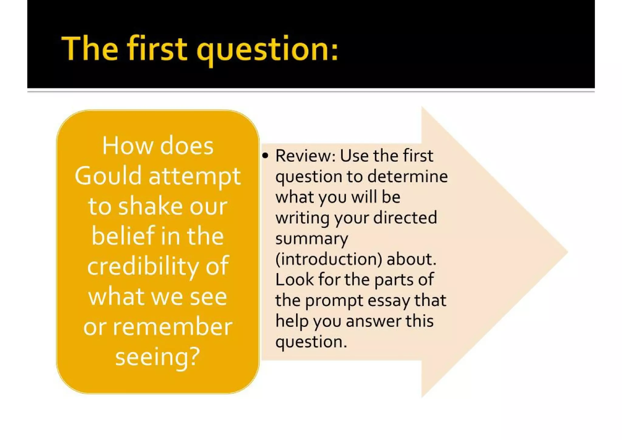 Thesis + Body Paragraph Focus | PPT