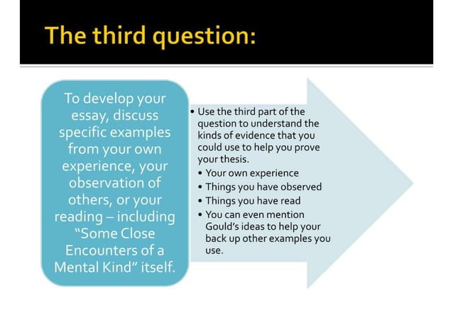 Thesis + Body Paragraph Focus | PPT