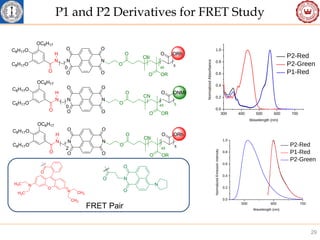 Stimuli Responsive Aggregation and Assembly of Amphiphilic Polymers | PPT
