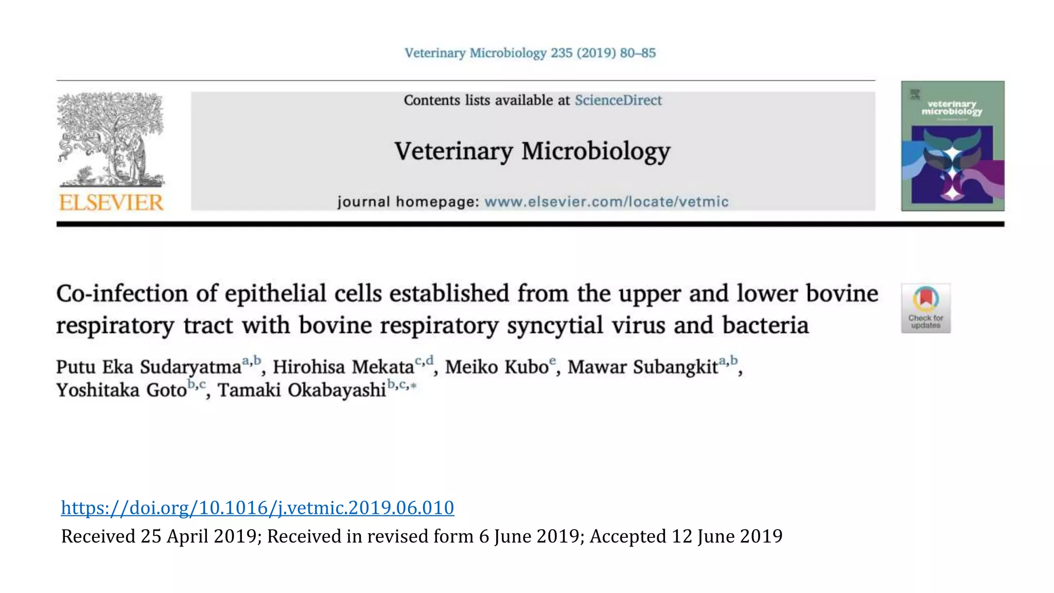Co-infection of epithelial cells established from the upper and lower ...