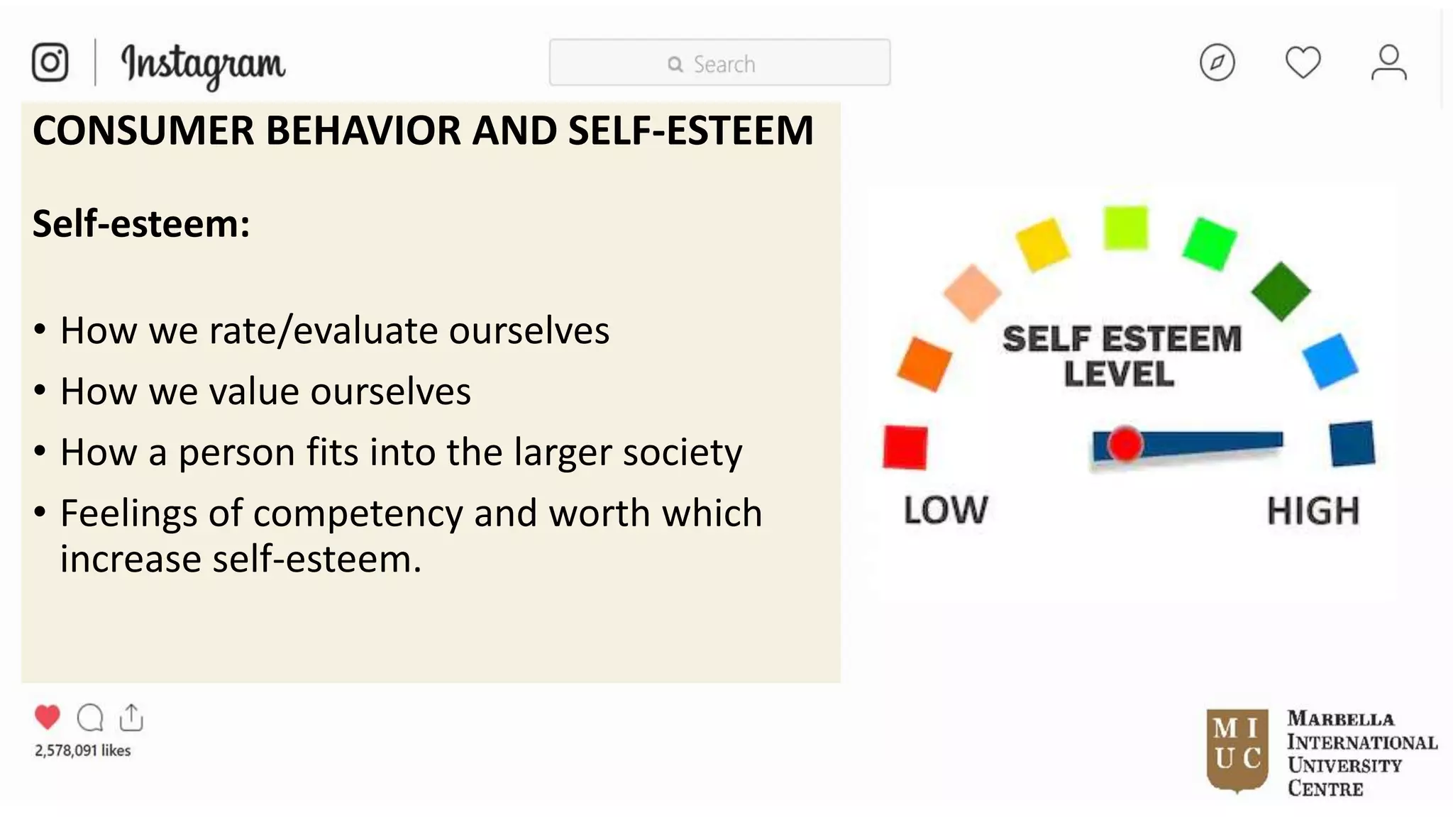Instagram Addiction and its effect on Consumer behavior | PPT