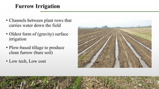 Conservation Tillage Impacts on Water and Soil Quality Parameters Under ...