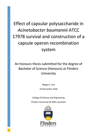 Honours thesis | PDF