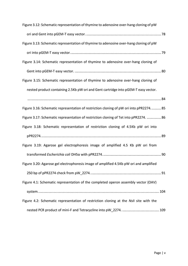 Honours thesis | PDF