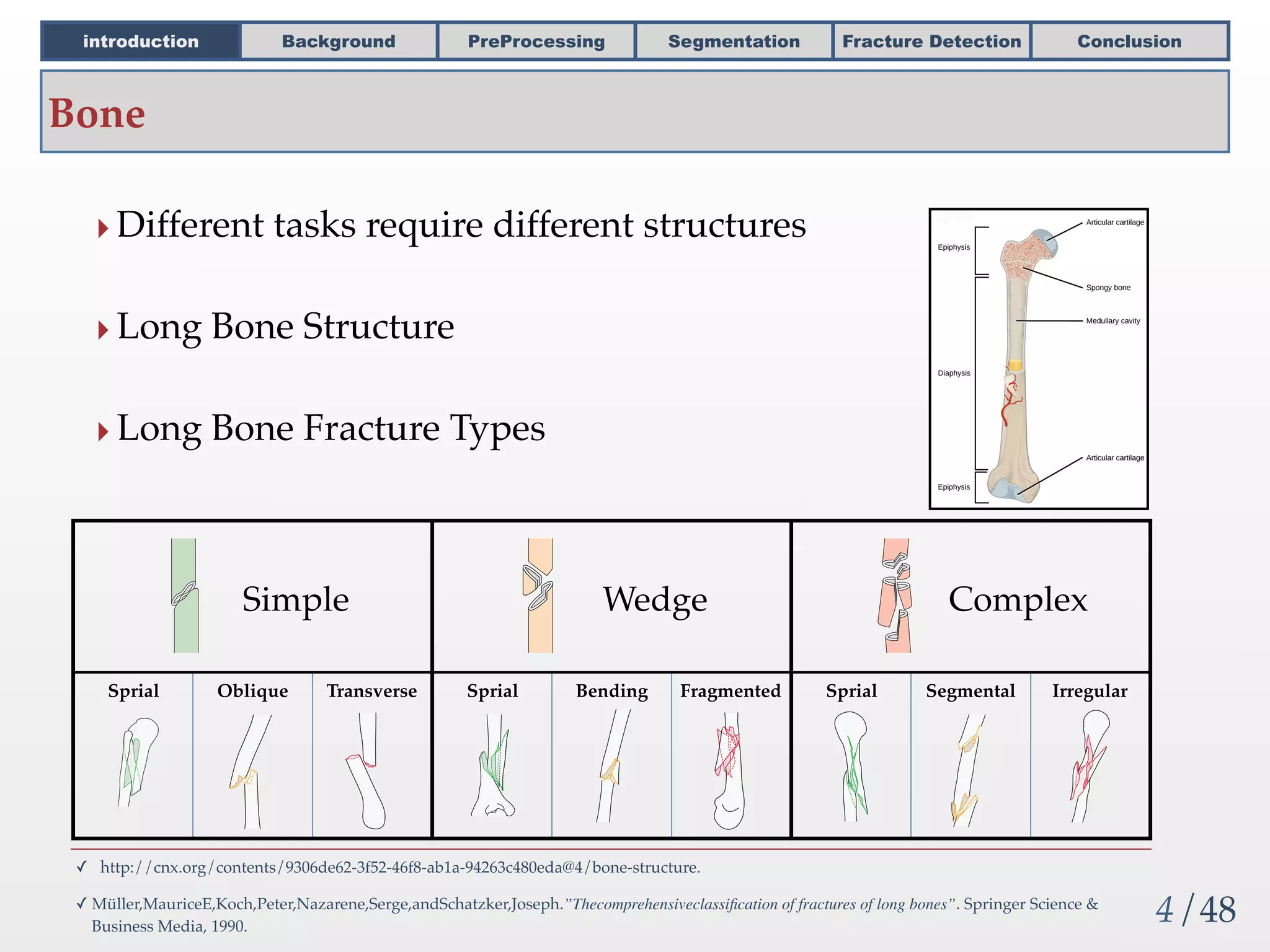 Master thesis - Long Bone Segmentation and Fracture Detection in X-ray Images | PDF