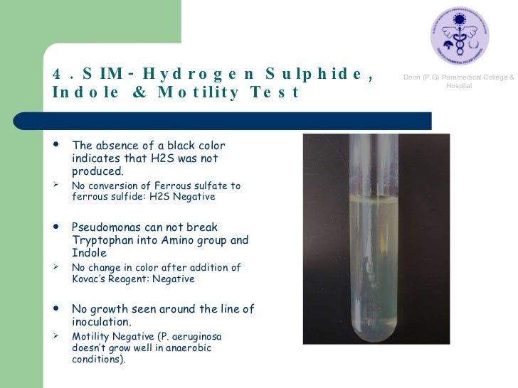 Urease Test For Pseudomonas Aeruginosa