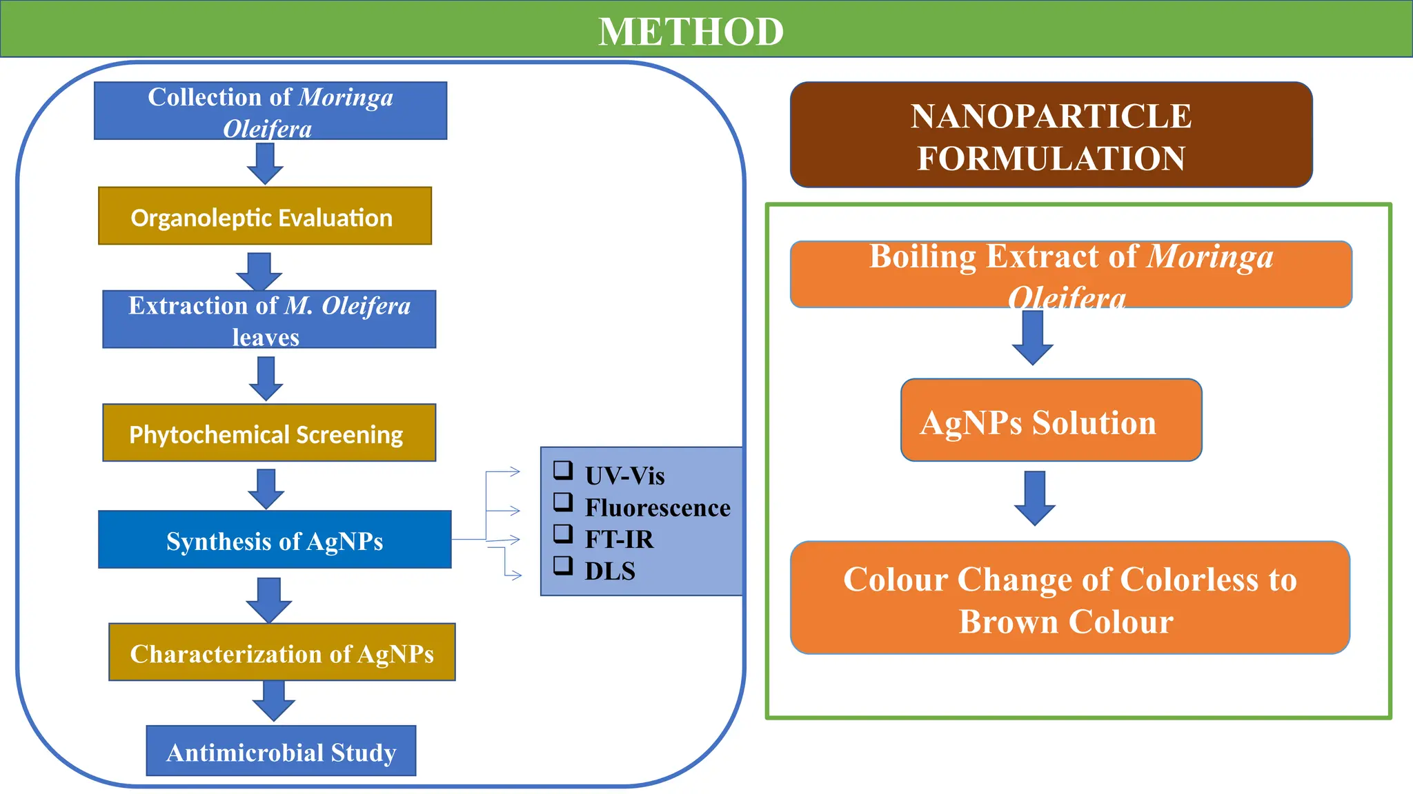 GREEN SYNTHESIS & CHARACTERIZATION OF Moringa oleifera LEAF EXTRACT LOADED SILVER NANOPARTICLES ...