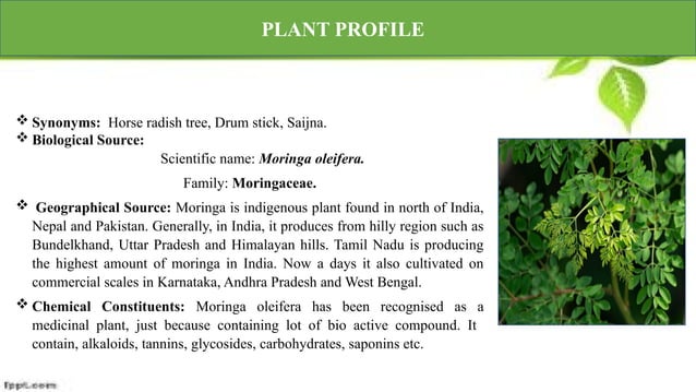 GREEN SYNTHESIS & CHARACTERIZATION OF Moringa oleifera LEAF EXTRACT LOADED SILVER NANOPARTICLES ...