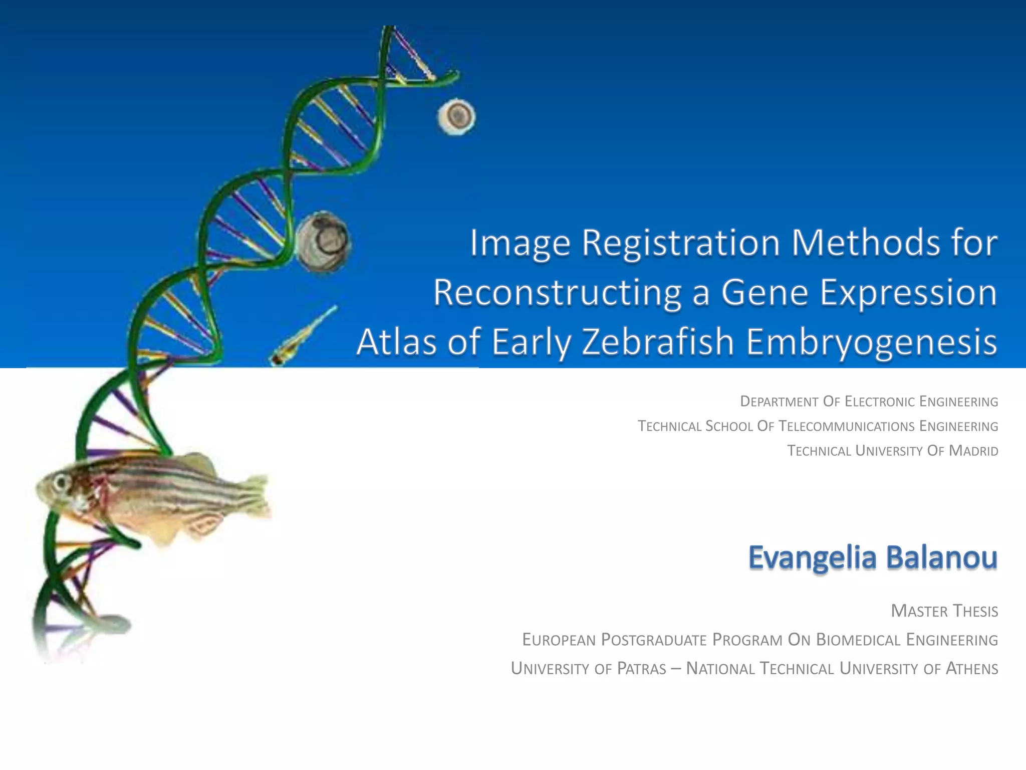 Thesis, Image Registration Methods | PPSX