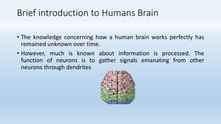 Thesis presentation | PPT | Free Download
