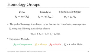 Topological Data Analysis and Persistent Homology | PDF