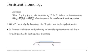 Topological Data Analysis and Persistent Homology | PDF