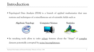 Topological Data Analysis and Persistent Homology | PDF