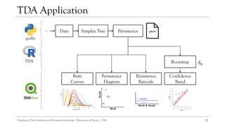 Topological Data Analysis and Persistent Homology | PDF