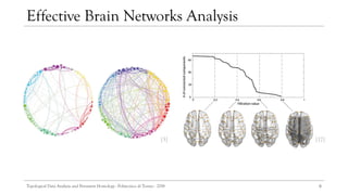 Topological Data Analysis and Persistent Homology | PDF