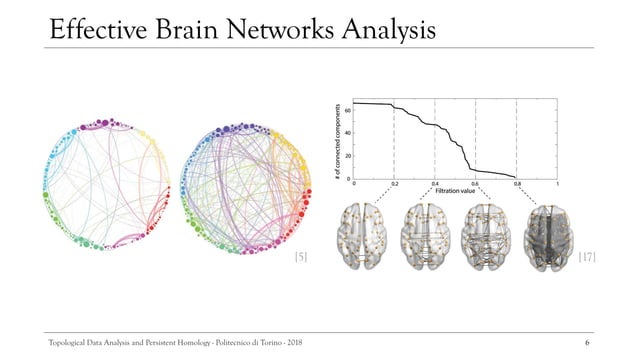 Topological Data Analysis and Persistent Homology | PDF