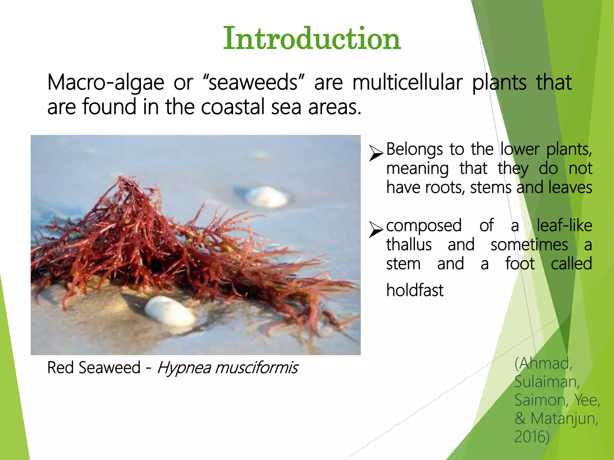 Seaweed (Hypnea musciformis) Versus Freshwater Weed (Ipomoea aquatica ...