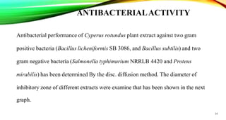 phytochemical study and antimicrobial activity of Cyperus rotundus plant | PPTX
