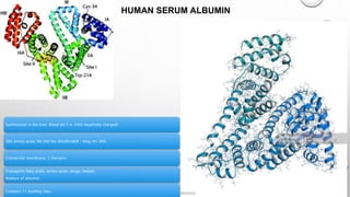 METHOD DEVELOPMENT AND VALIDATION FOR DETERMINATION OF HUMAN SERUM ...