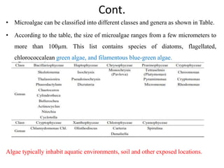 Masters Thesis progress | PPT