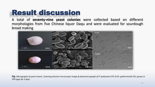 Thesis proposal on Isolation of yeast strain from chinese Liquor Daqu | PPT