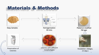 Thesis proposal on Isolation of yeast strain from chinese Liquor Daqu | PPT