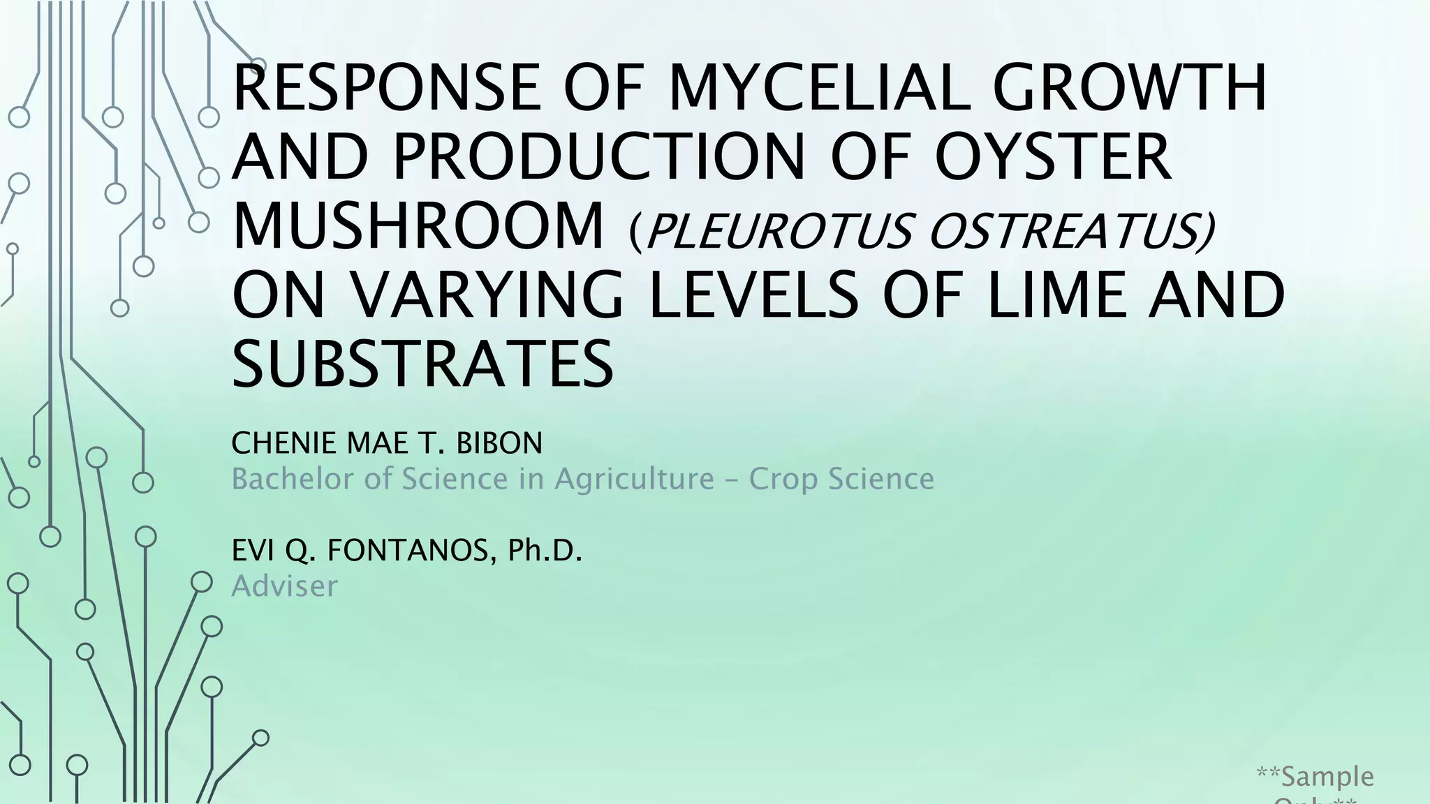 Thesis Proposal Presentations Sample.pdf.pptx