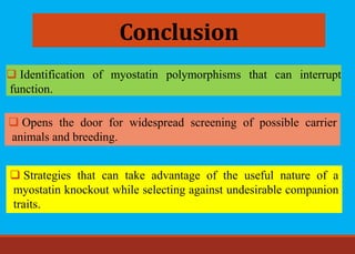 Myostatin (MSTN) and its Applications in Animal Breeding | PPTX