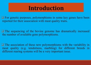 Myostatin (MSTN) and its Applications in Animal Breeding | PPTX
