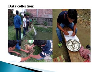 Autumated image processing system | PPTX