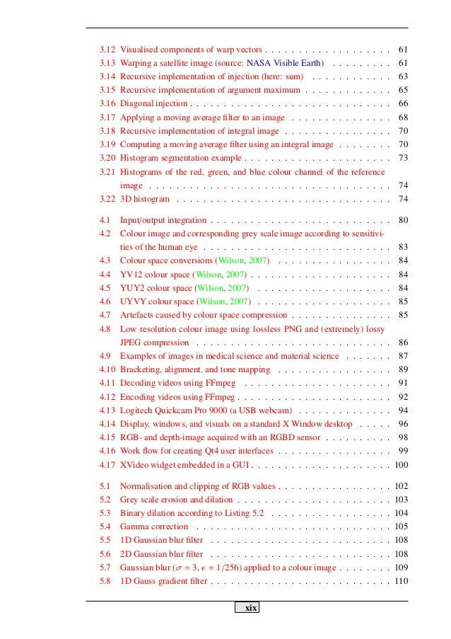 Efficient implementations of machine vision algorithms using a dynami…