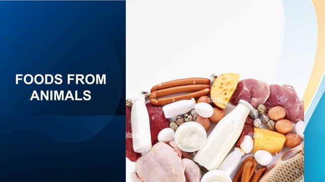 The Six Food Groups and Their Properties.pptx