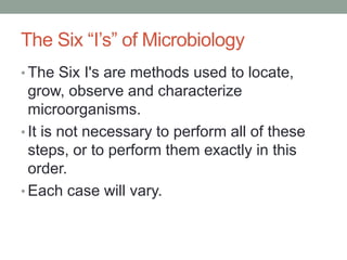 The Six Is.pptx