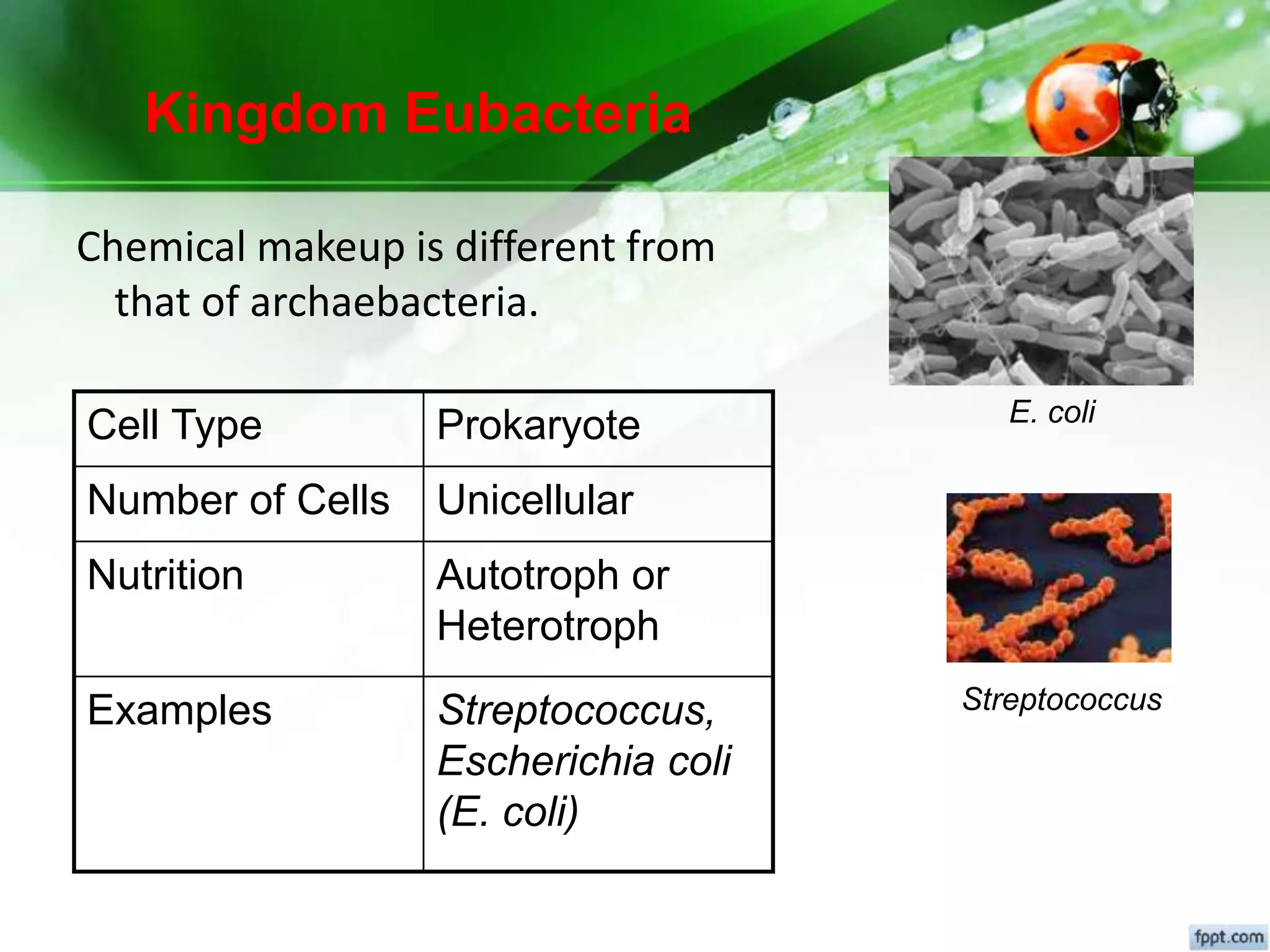 The six kingdoms | PPTX