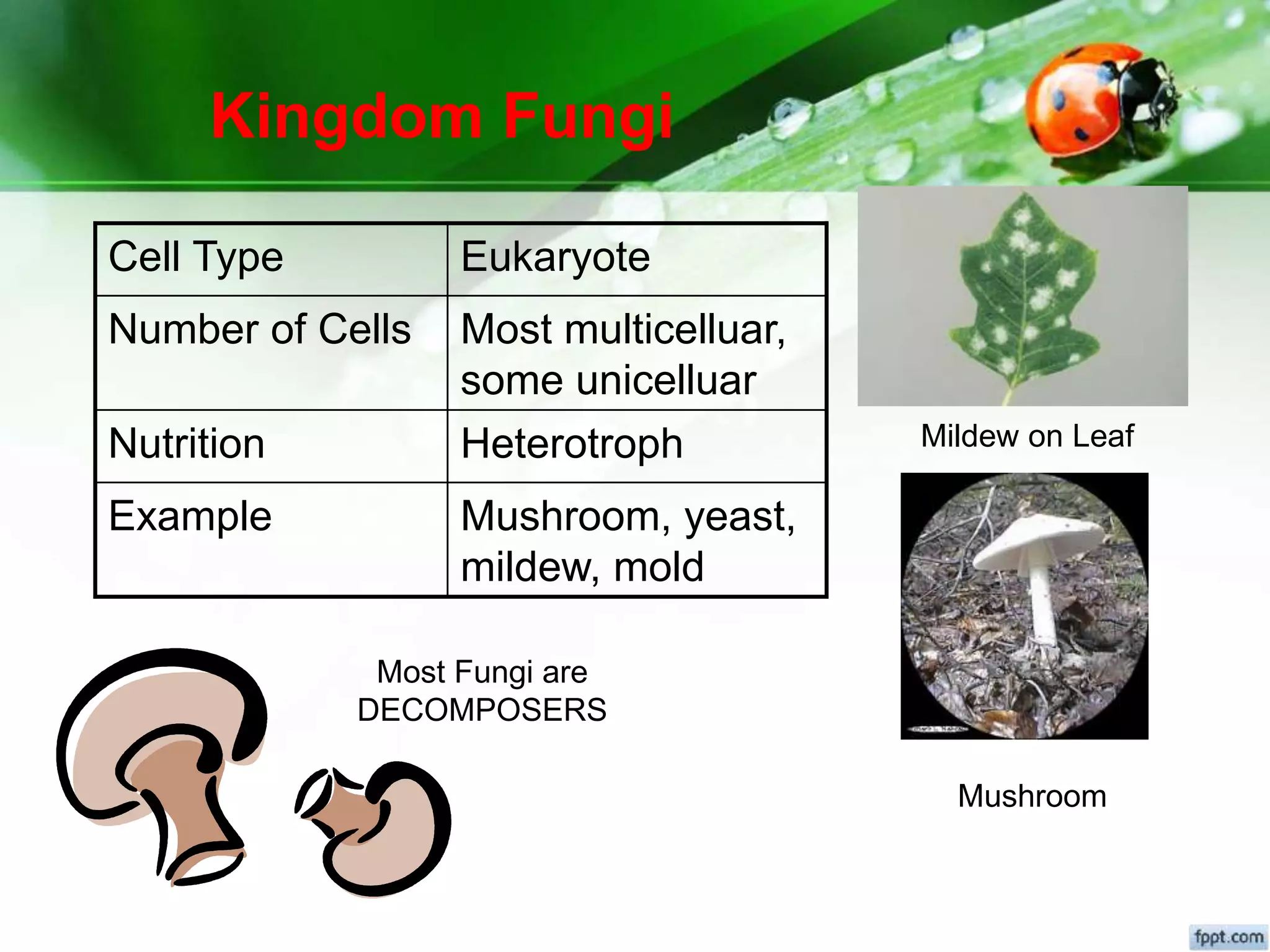 The six kingdoms | PPTX