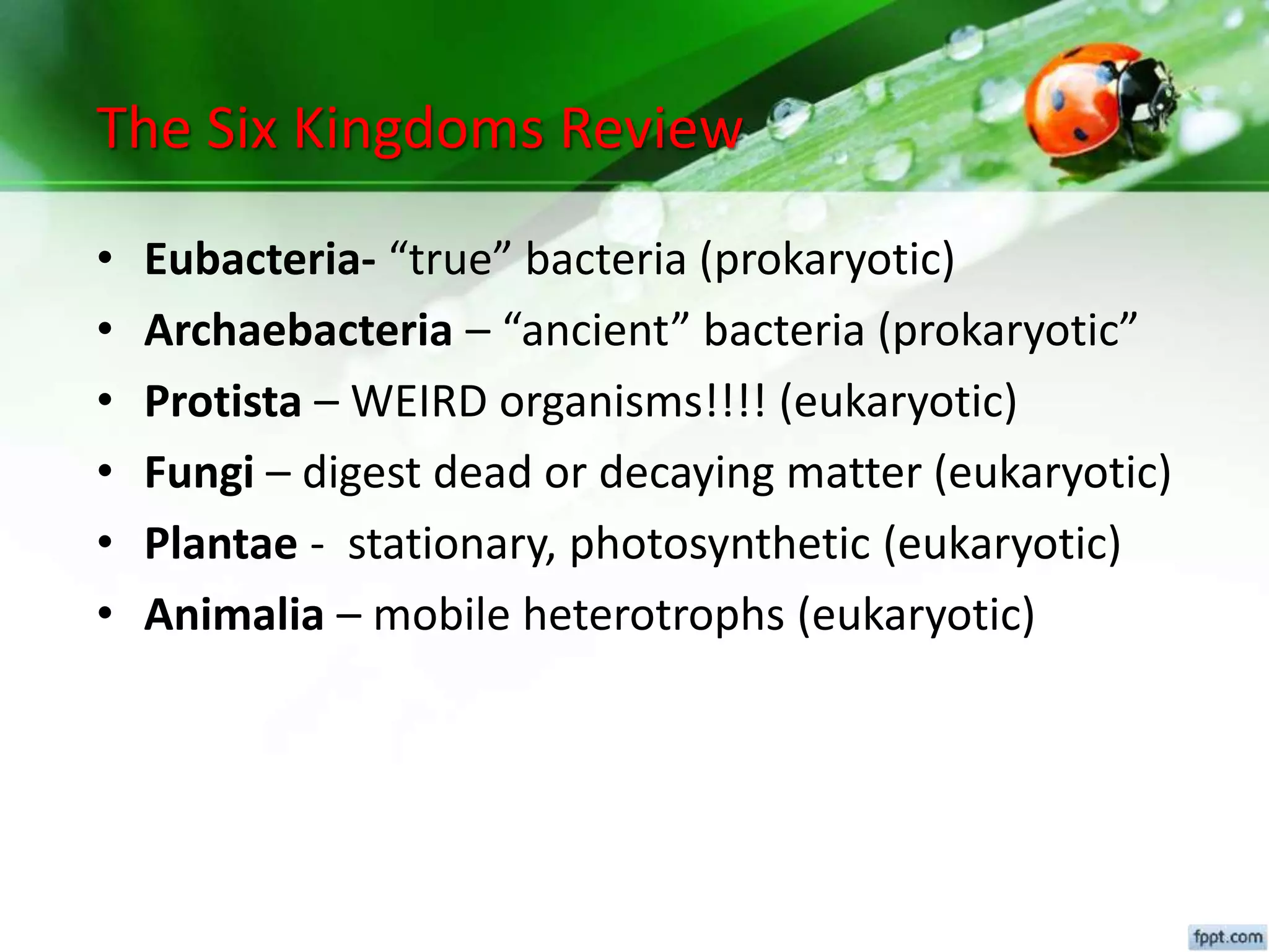 The six kingdoms | PPTX