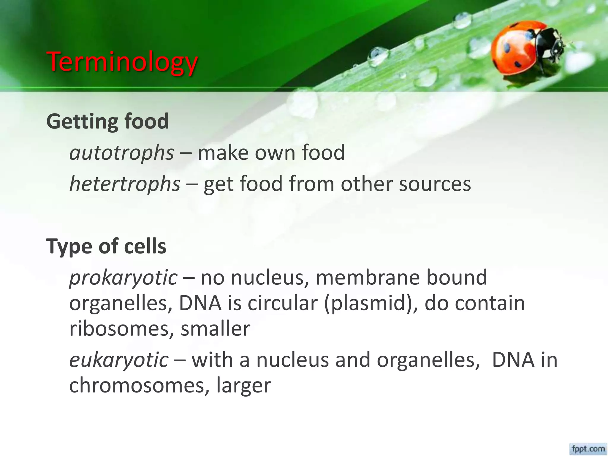 The six kingdoms | PPTX