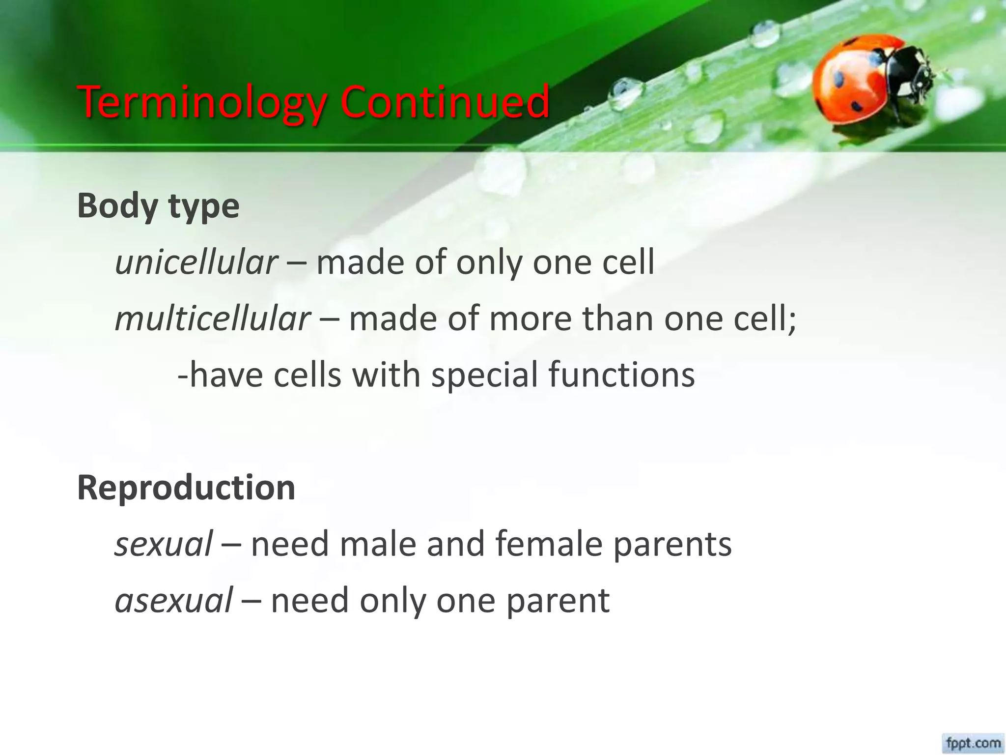 The six kingdoms | PPTX