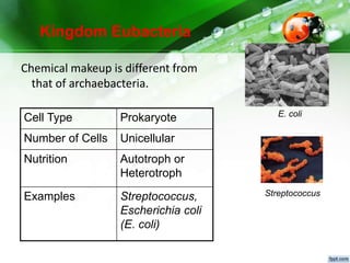 The six kingdoms | PPTX