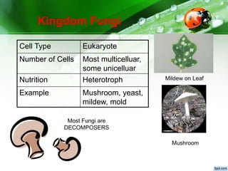 The six kingdoms | PPTX