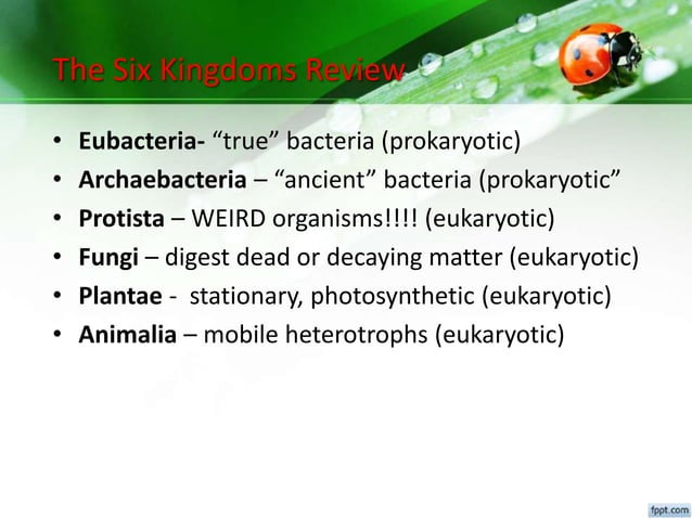 The six kingdoms | PPTX