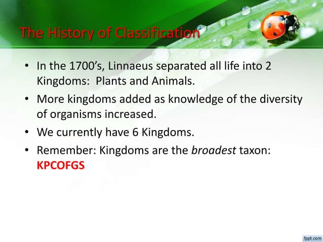 The six kingdoms | PPTX