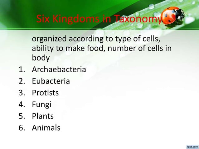 The six kingdoms | PPTX