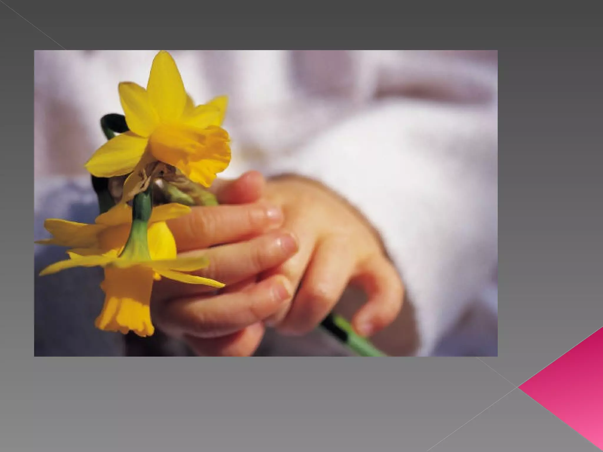 The Six Rules of Training | PPT