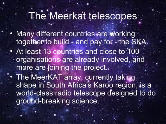 The ska meerkat project by hana and shana | PPT