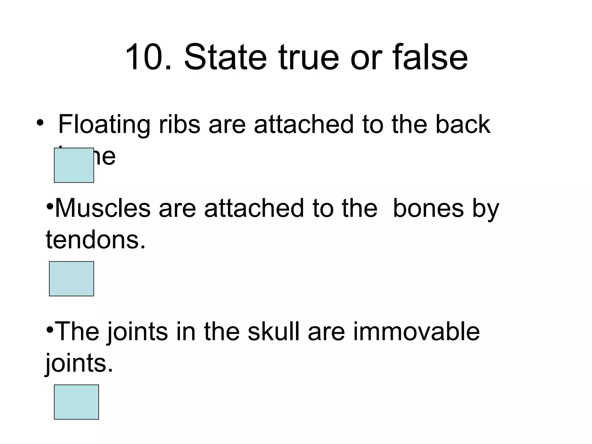 The skeletal and muscular system | PPT